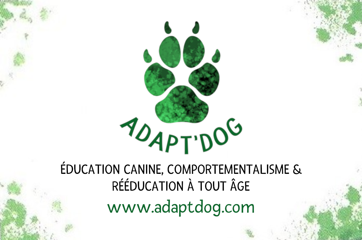 Adapt'Dog | Éducation canine - Comportementalisme - Rééducation à tout âge